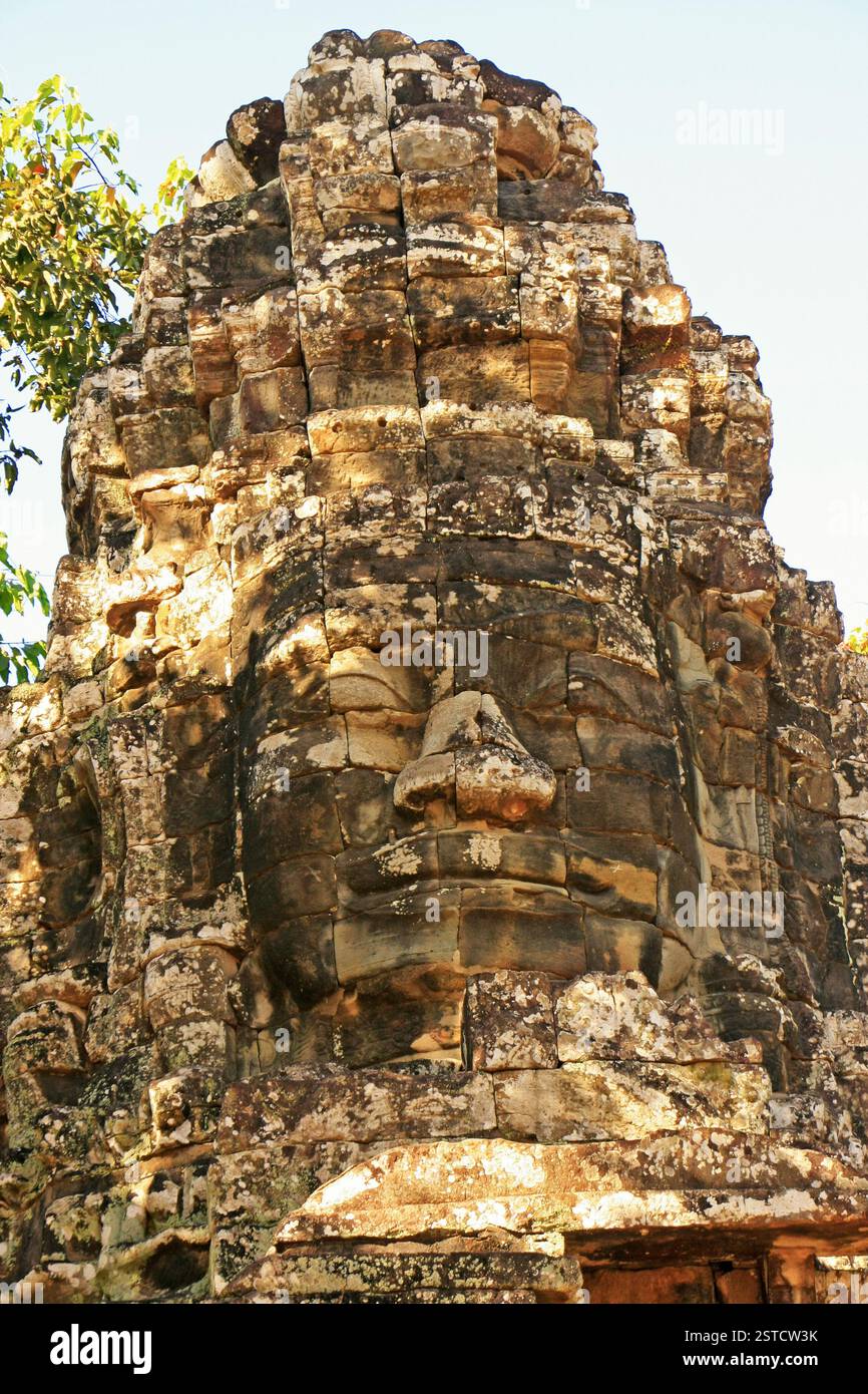 Gate entrance tree plant hi-res stock photography and images - Alamy