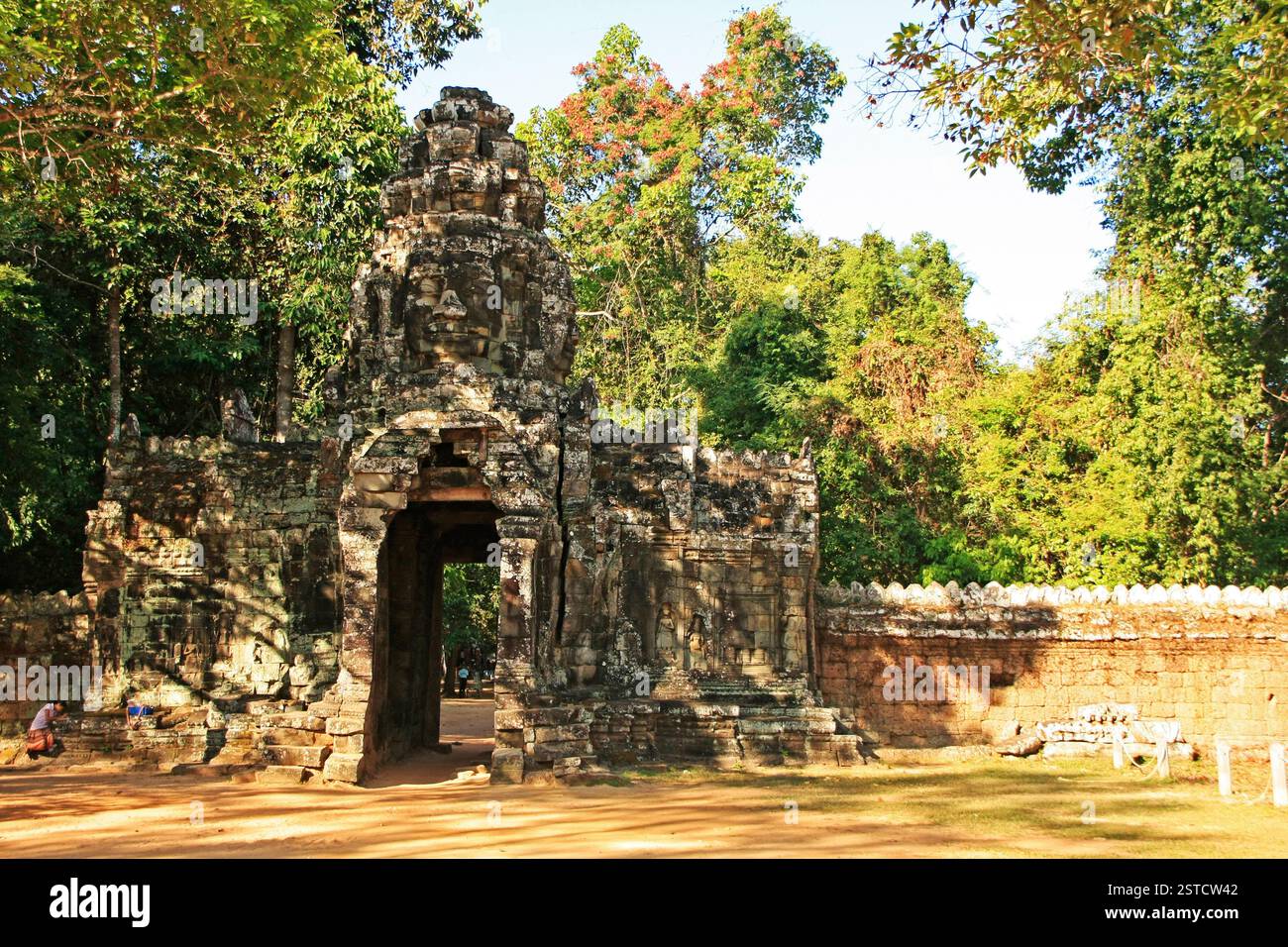 Gate entrance tree plant hi-res stock photography and images - Alamy