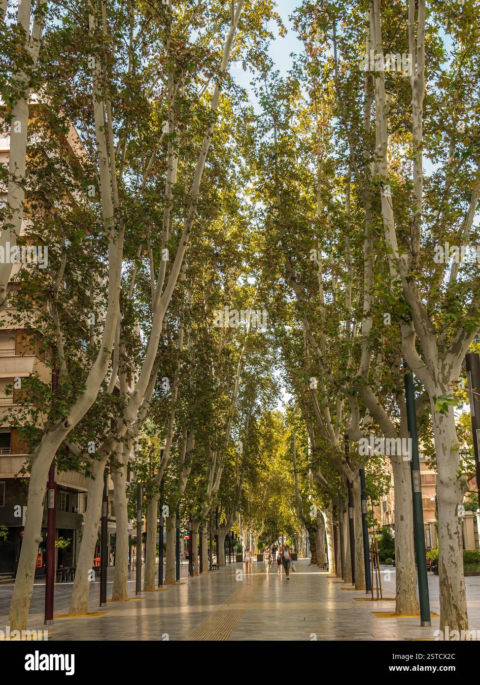 Gran va alfonso hi-res stock photography and images - Alamy