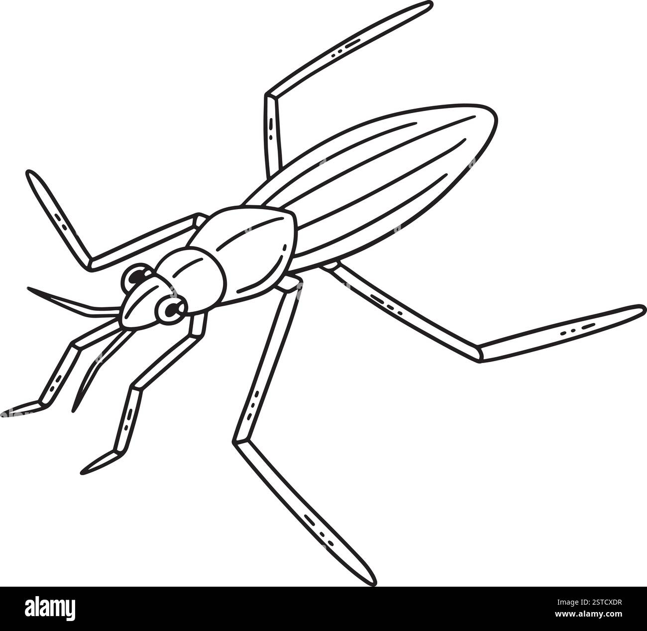 Insect Water Striders Animal Isolated Coloring Stock Vector Image & Art ...