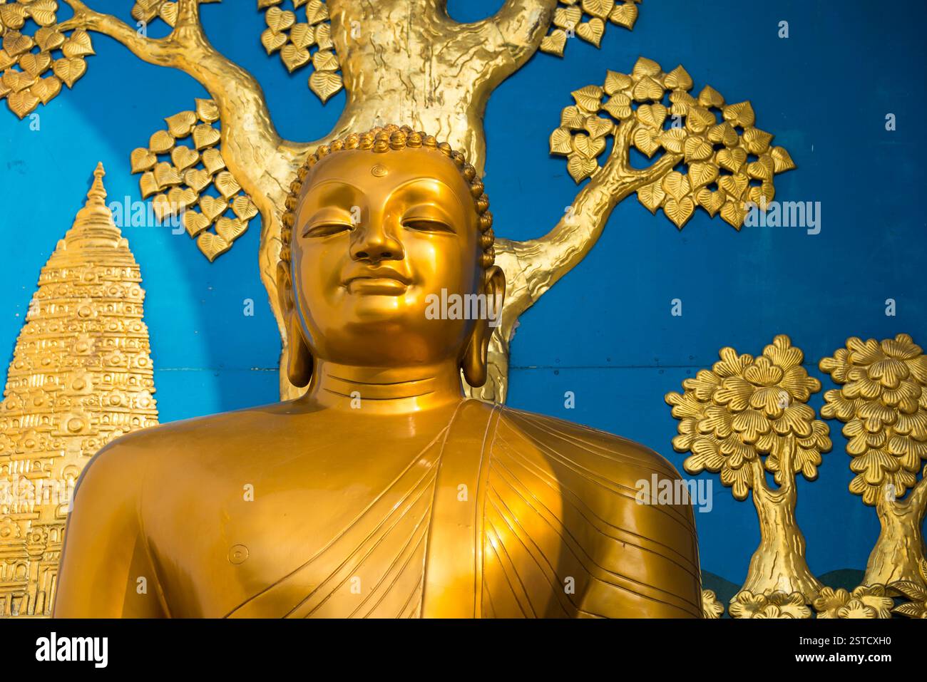 Golden buddha statue at the world peace pagoda in pokhara hi-res stock ...