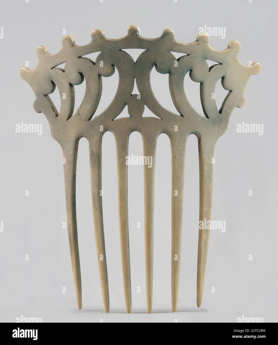 Crown-shaped back featuring 11 rounded growths with two groups of 3 ...