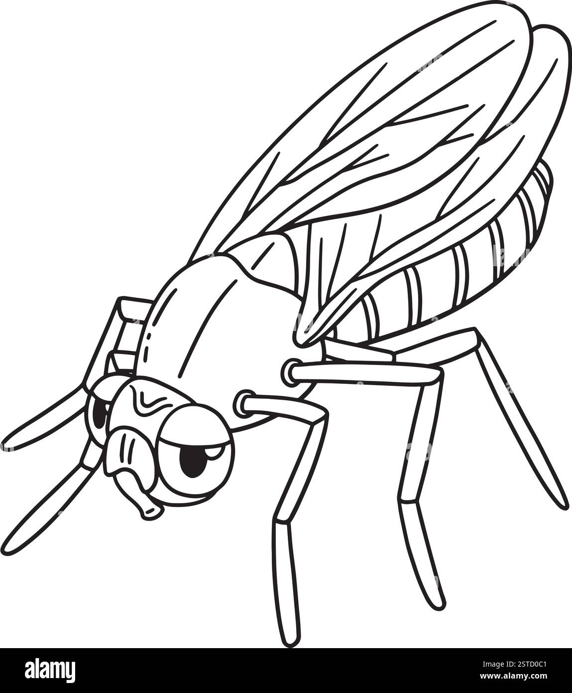 Insect Fruit Fly Animal Isolated Coloring Page Stock Vector Image & Art ...