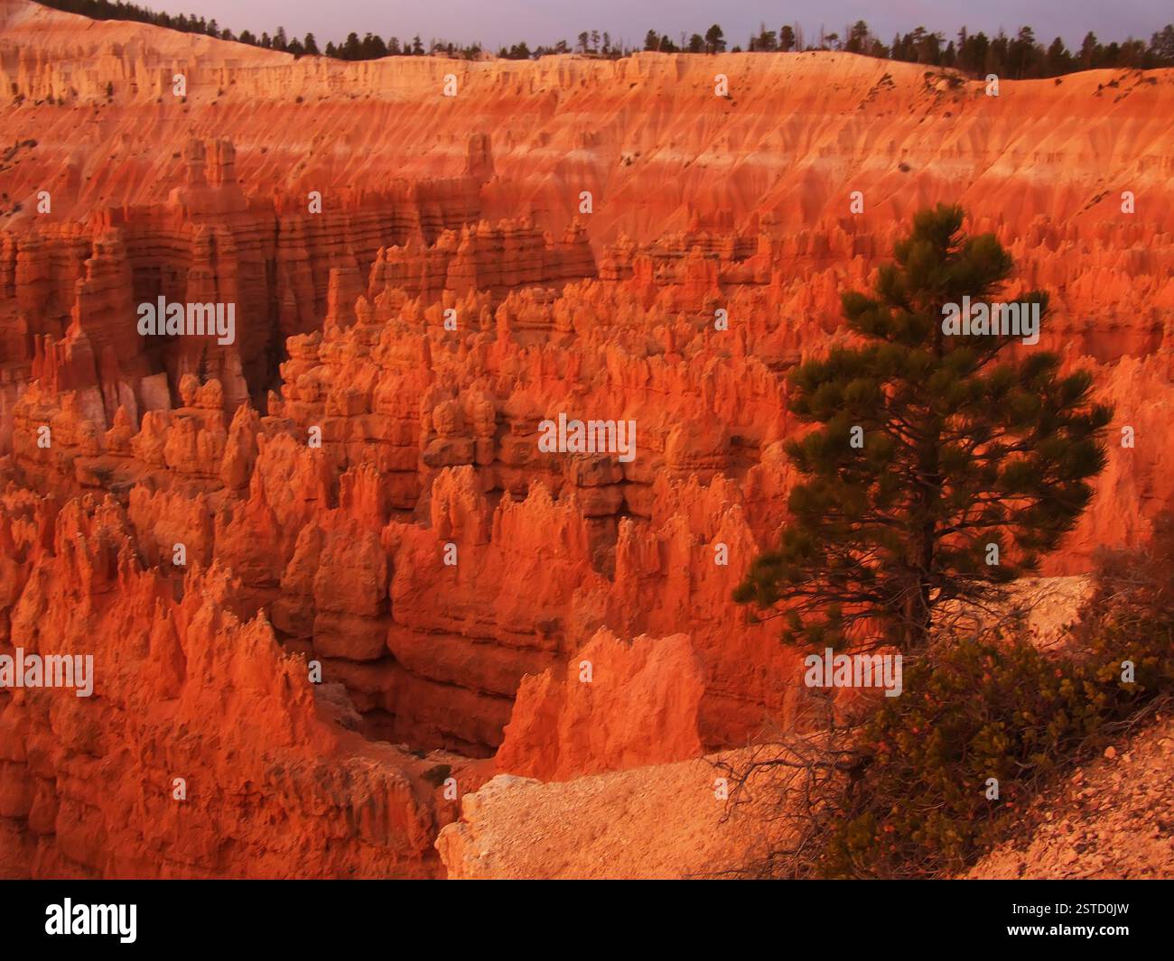 Bryce Canyon National Park at sunrise, view from Sunset point, Utah ...