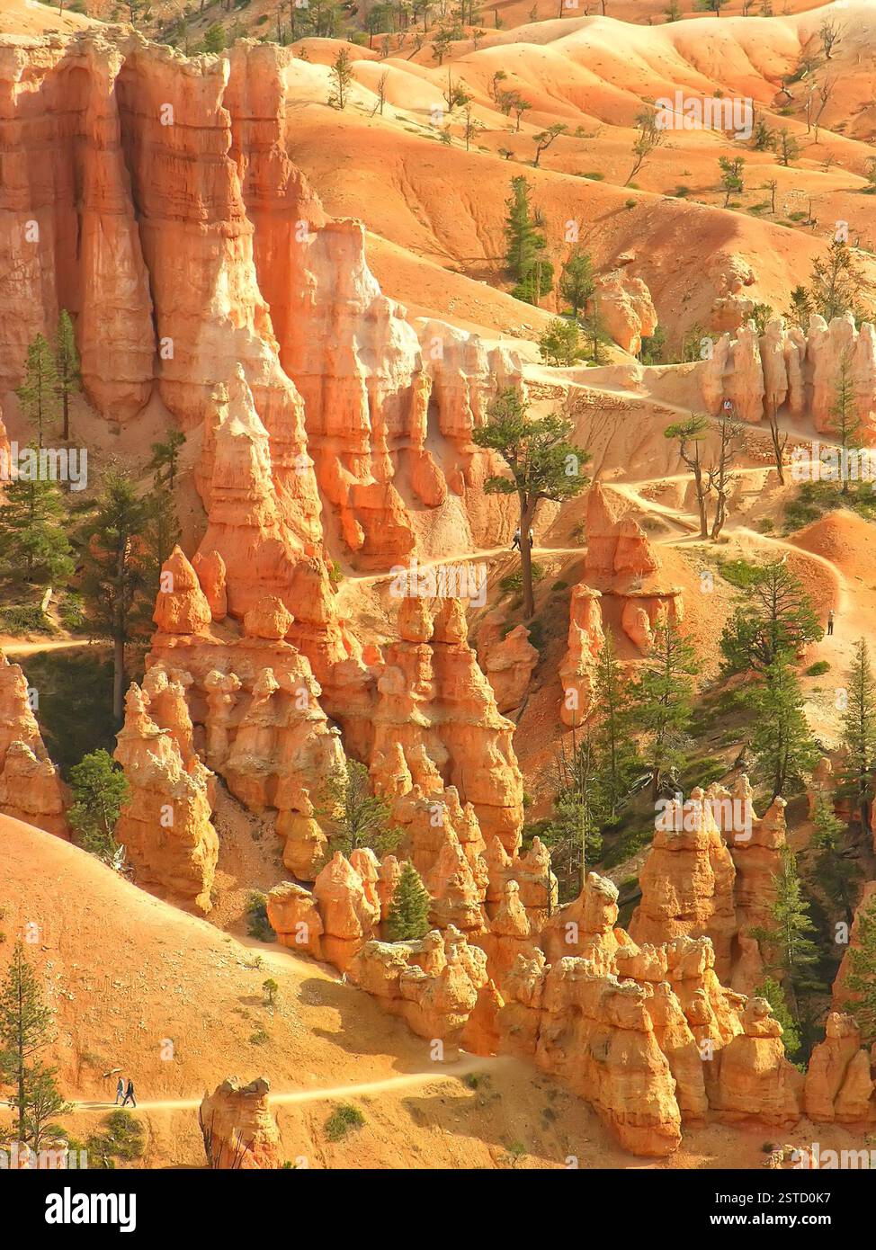 Amphitheater, view from Sunset point Stock Photo - Alamy