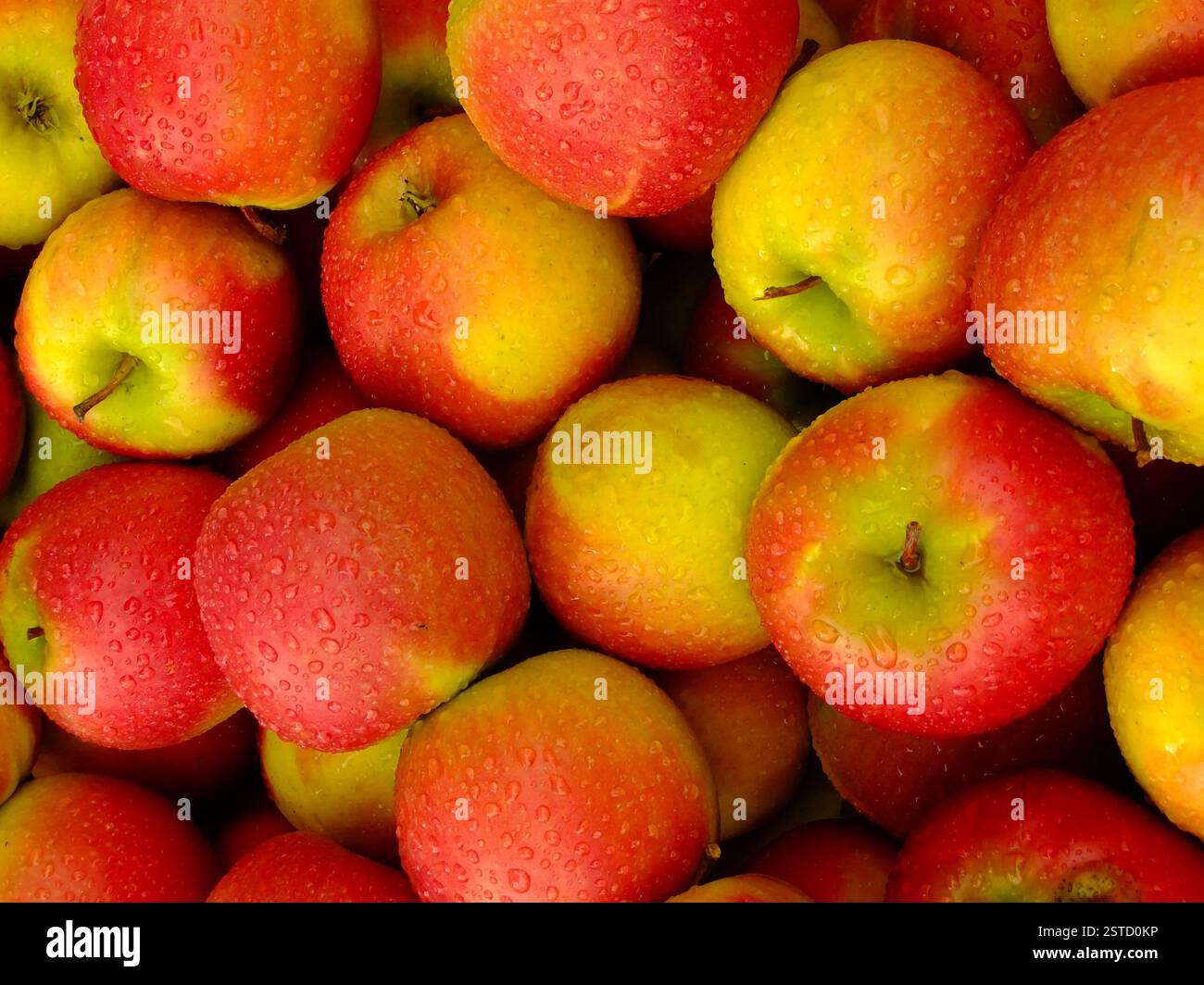 Close up red apples hi-res stock photography and images - Alamy