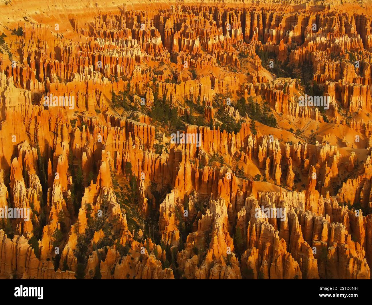 Amphitheater, view from Inspiration point at sunri Stock Photo - Alamy