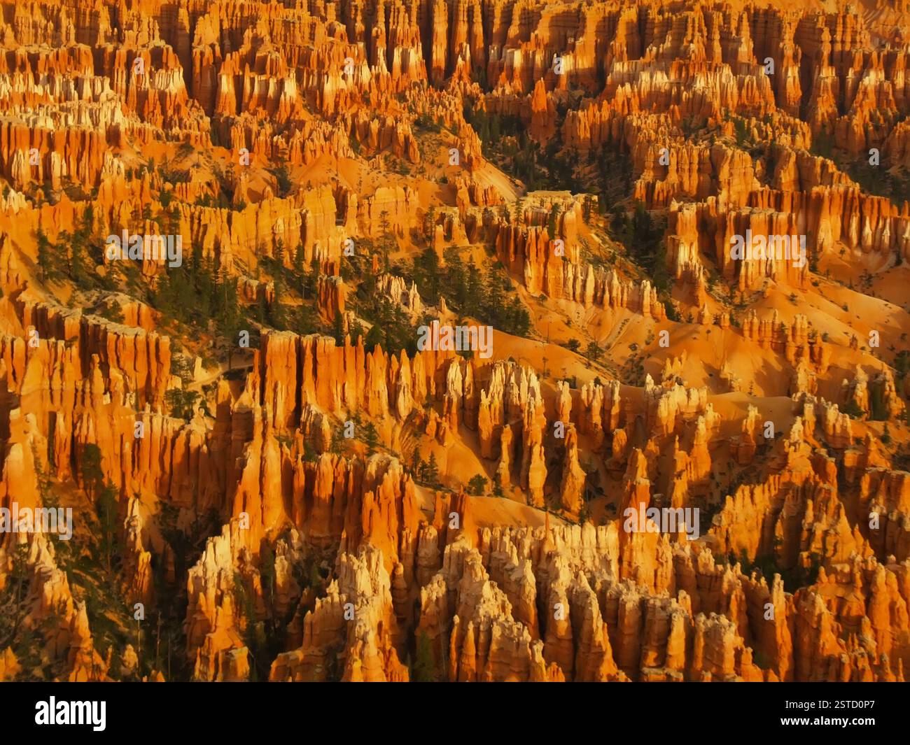 Amphitheater, view from Inspiration point at sunri Stock Photo - Alamy