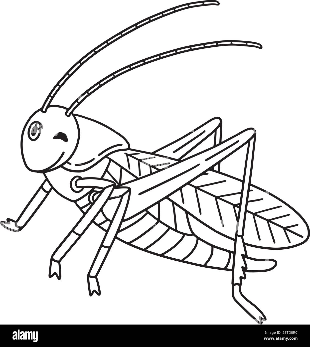 Insect Crickets Animal Isolated Coloring Page Stock Vector Image & Art ...