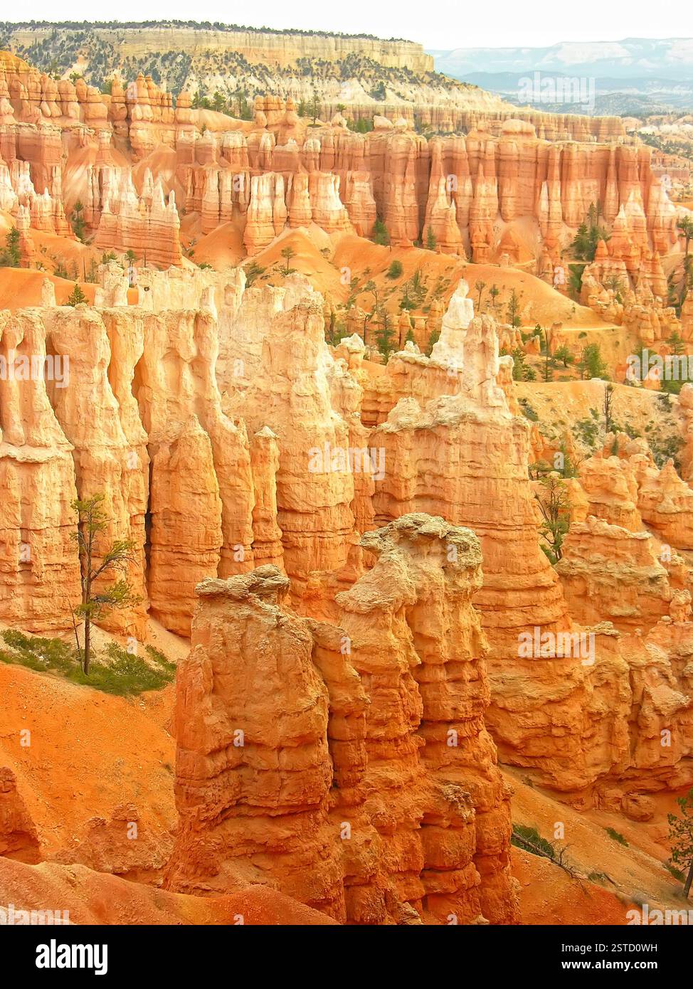 Amphitheater view hi-res stock photography and images - Alamy