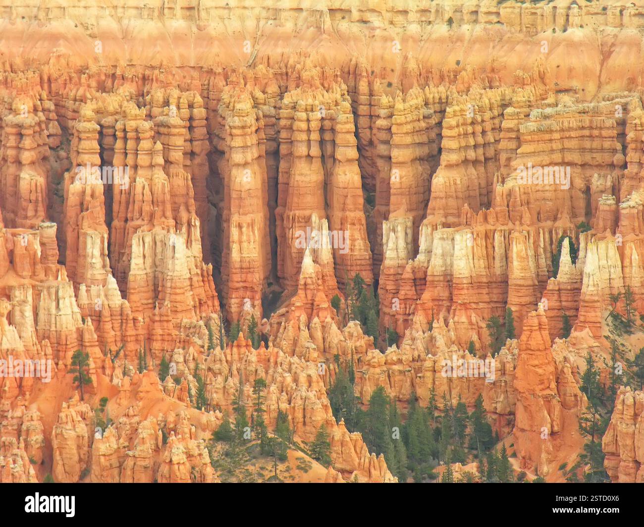 Wall point hi-res stock photography and images - Alamy