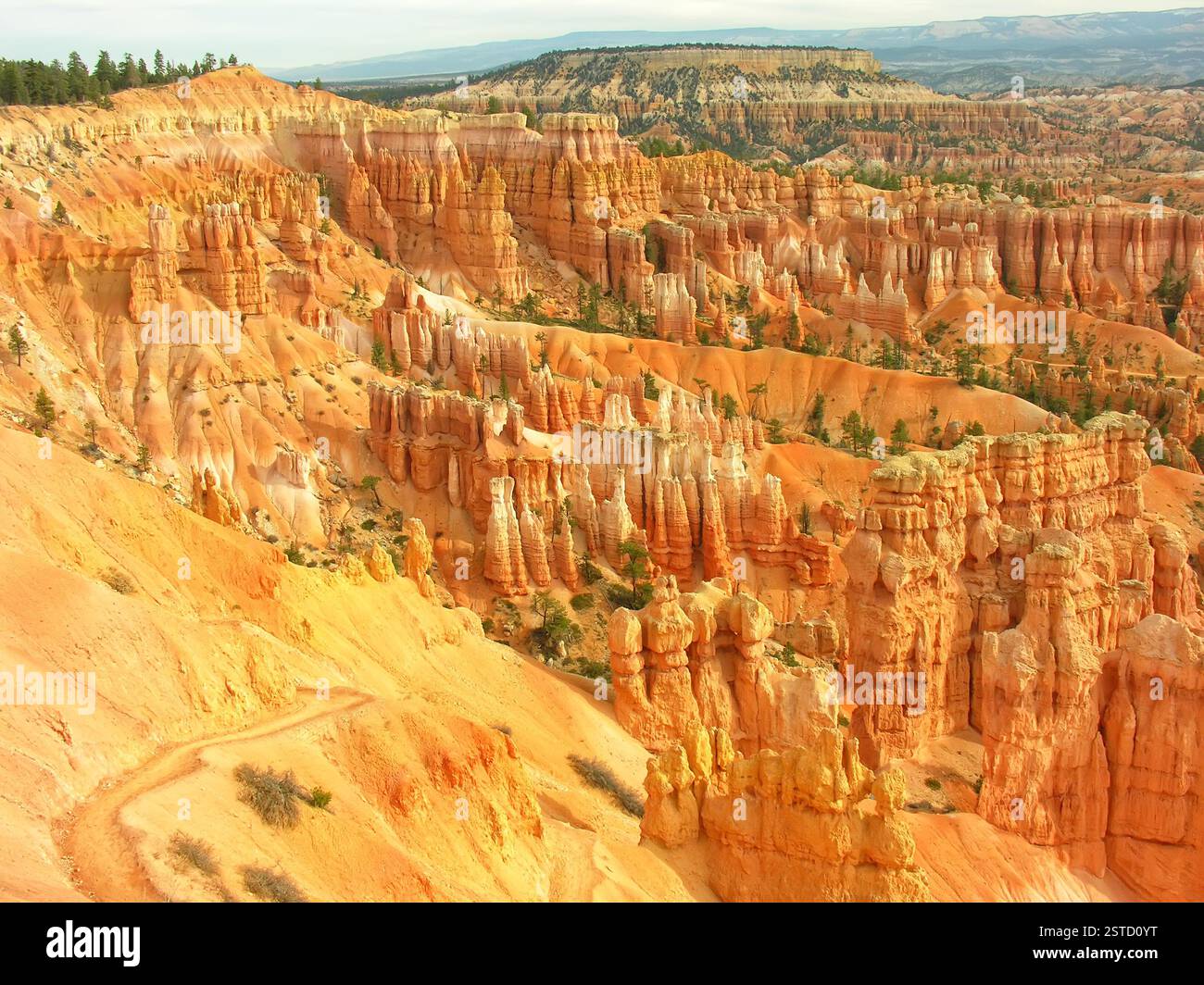 Amphitheater, view from Sunset point Stock Photo - Alamy
