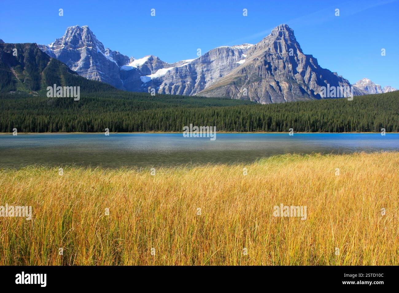 Waterfowl lake, Banff National Park, Alberta, Cana Stock Photo - Alamy