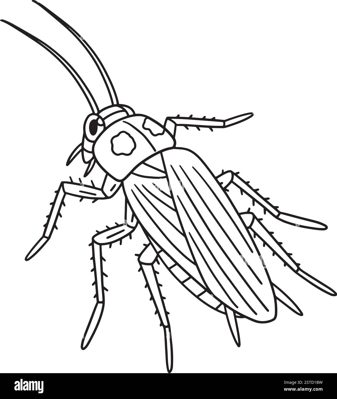 Insect Cockroach Animal Isolated Coloring Page Stock Vector Image & Art ...