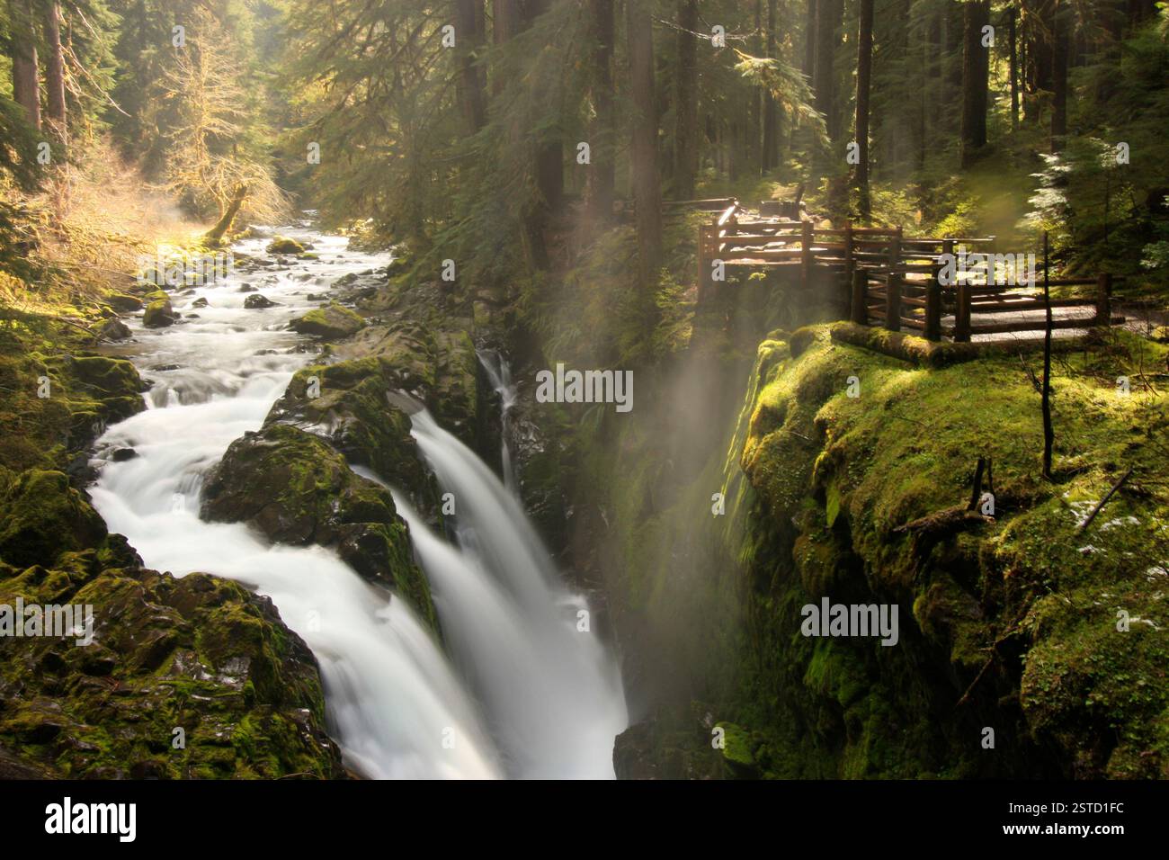 Sol Duc Falls, Olimpic National Park, Washington Stock Photo - Alamy