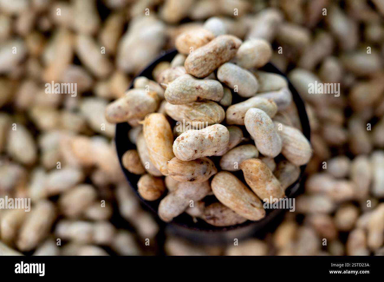 Fresh peanuts in shell hi-res stock photography and images - Alamy