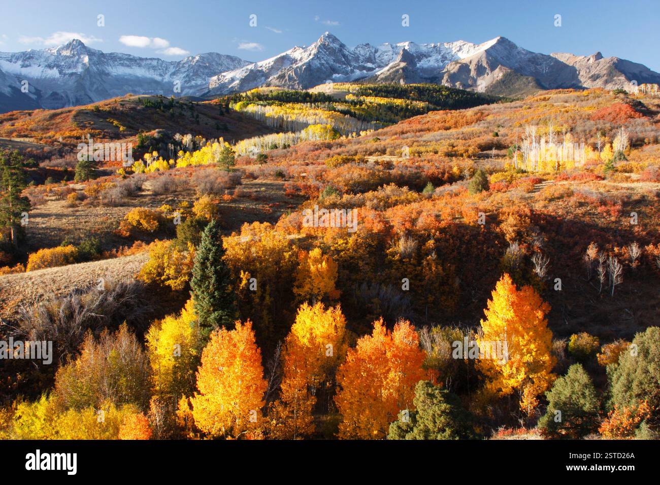 Dallas Divide, Sneffels Range Stock Photo - Alamy