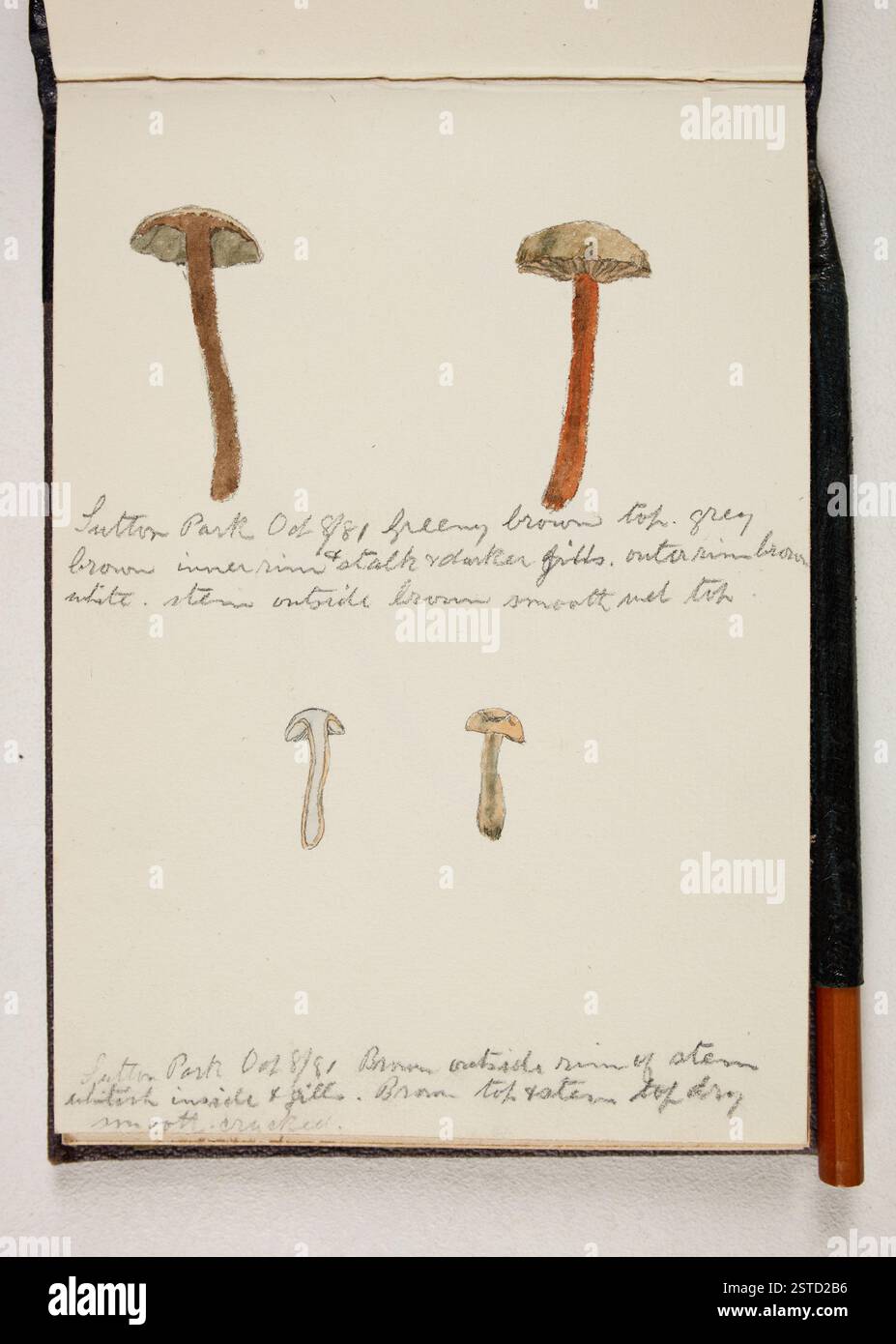 Pencil and watercolor drawing from Oliver Clare's 1881 sketchbook ...