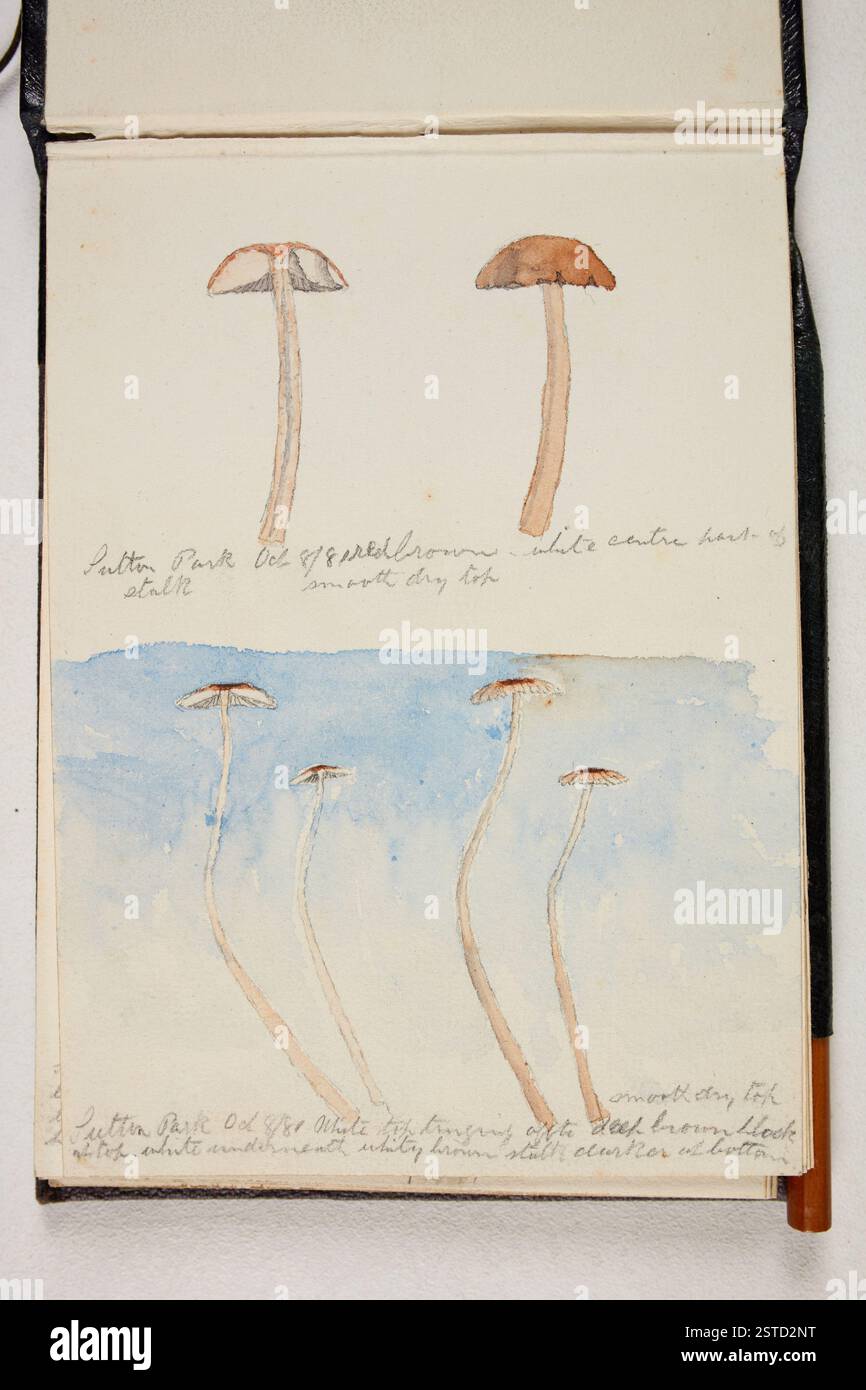 Pencil and watercolor drawing from Oliver Clare's 1881 sketchbook ...