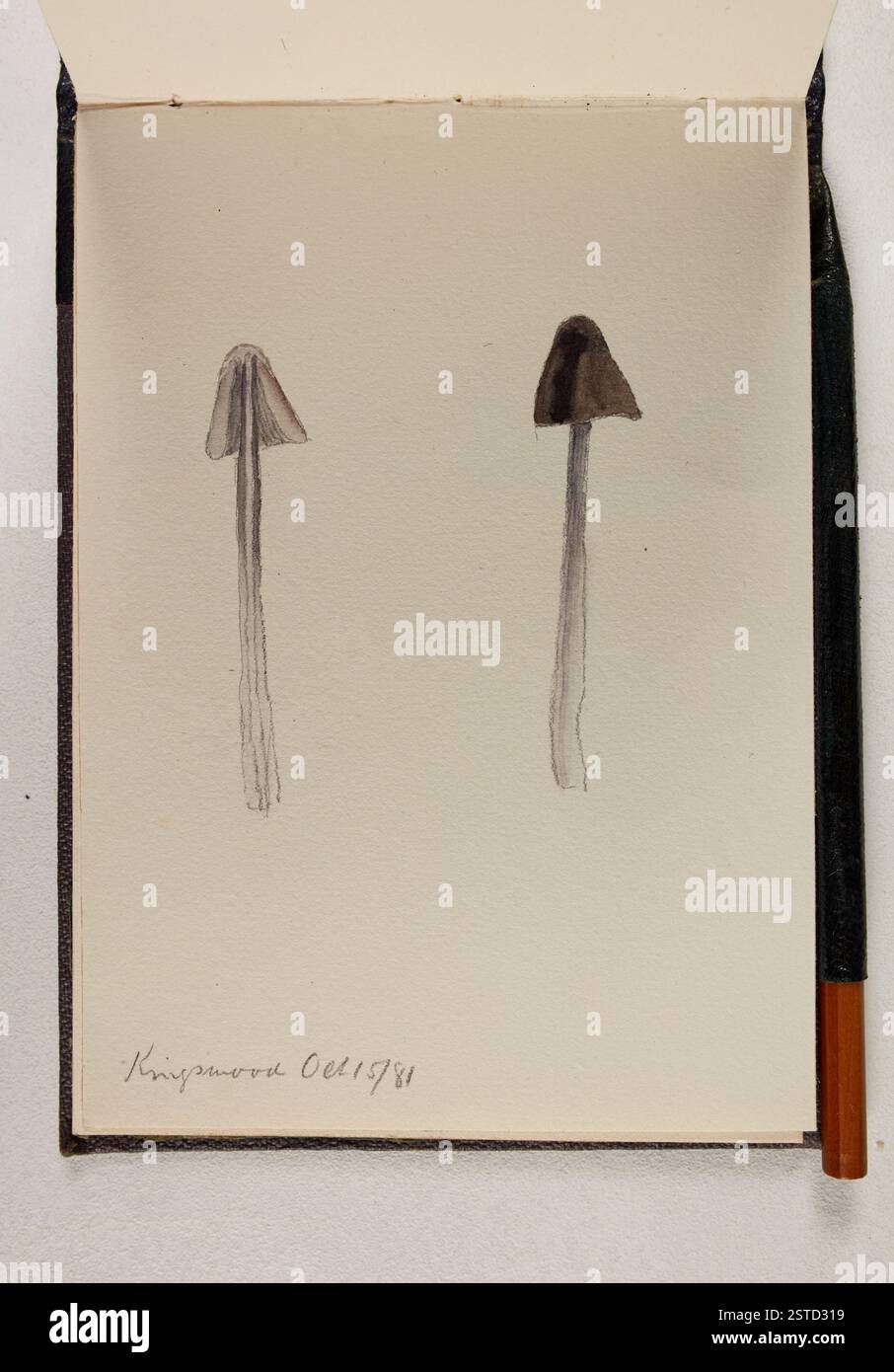 A pencil and watercolor drawing by Oliver Clare from 1881, depicting ...