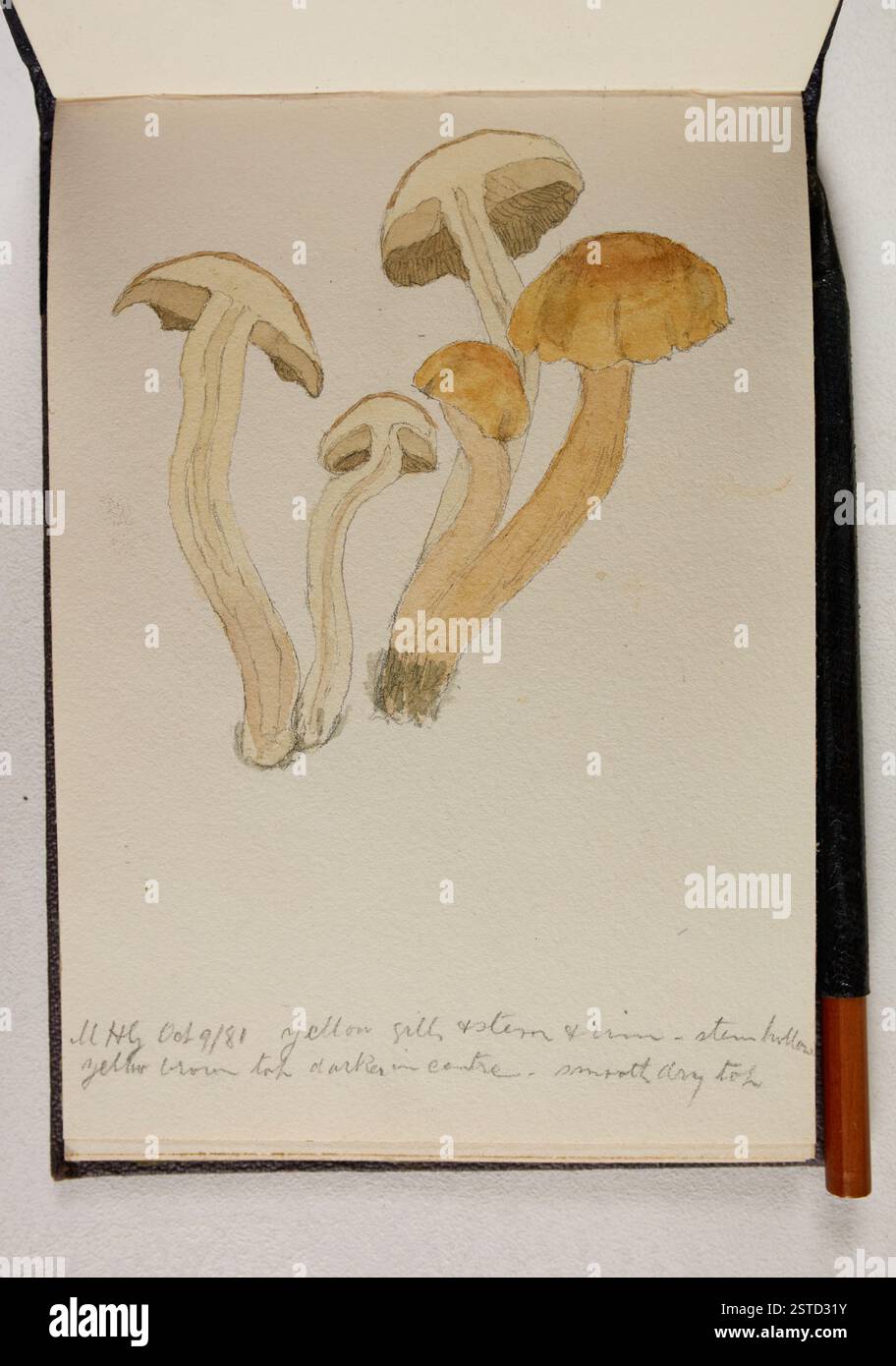 A pencil and watercolor drawing by Oliver Clare from 1881, showing ...