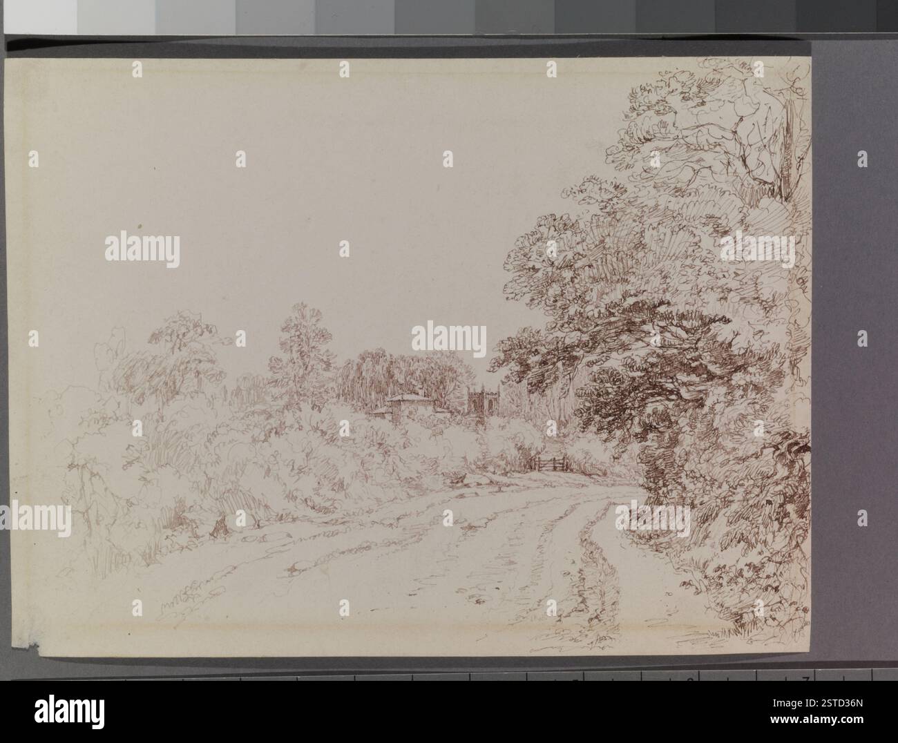 An ink drawing of the Edgbaston area, showing the Tower of Edgbaston ...