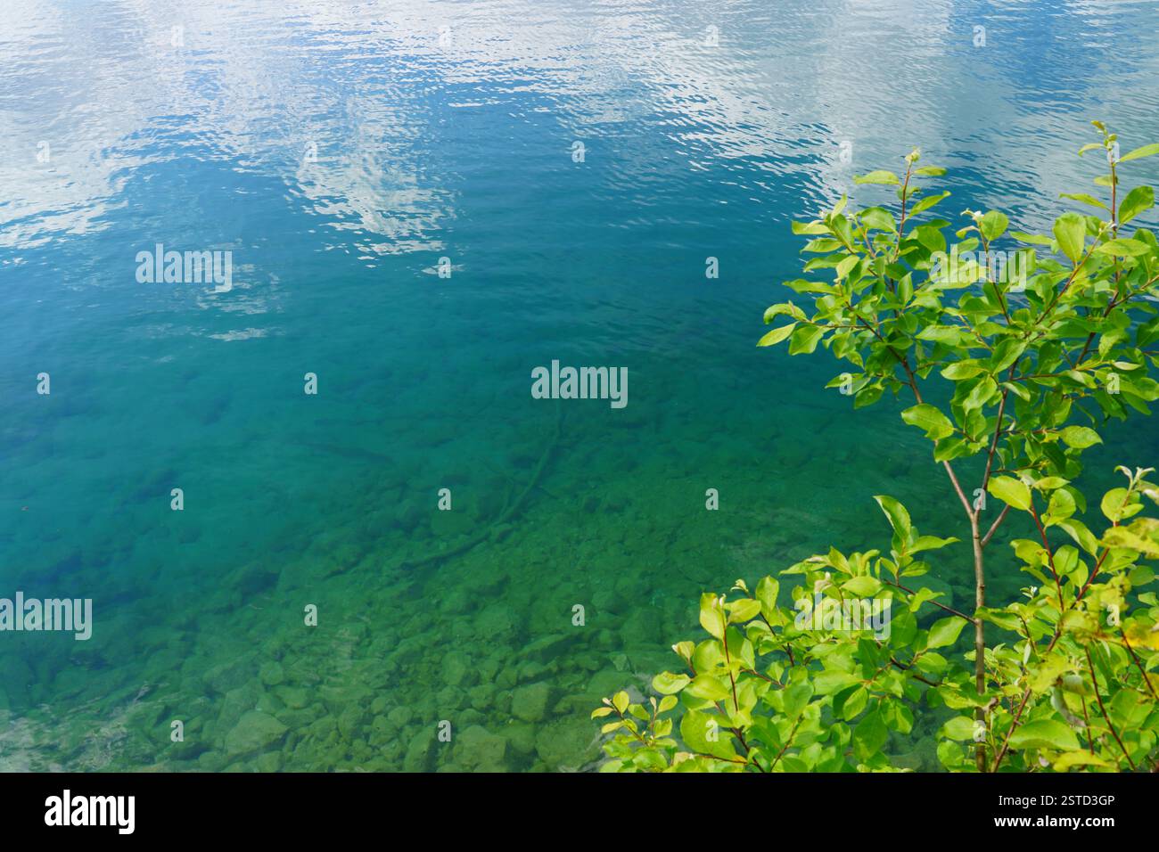 Summer view of Lake Eibsee in Bavaria, Germany, base of the Zugspitze ...