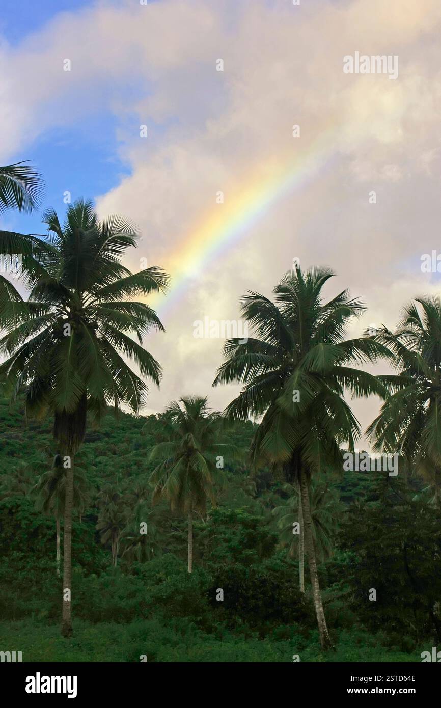 Rainbow over hill palm hi-res stock photography and images - Alamy