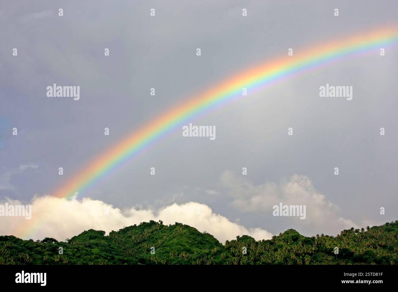Colorful rainbow over green hill Stock Photo - Alamy