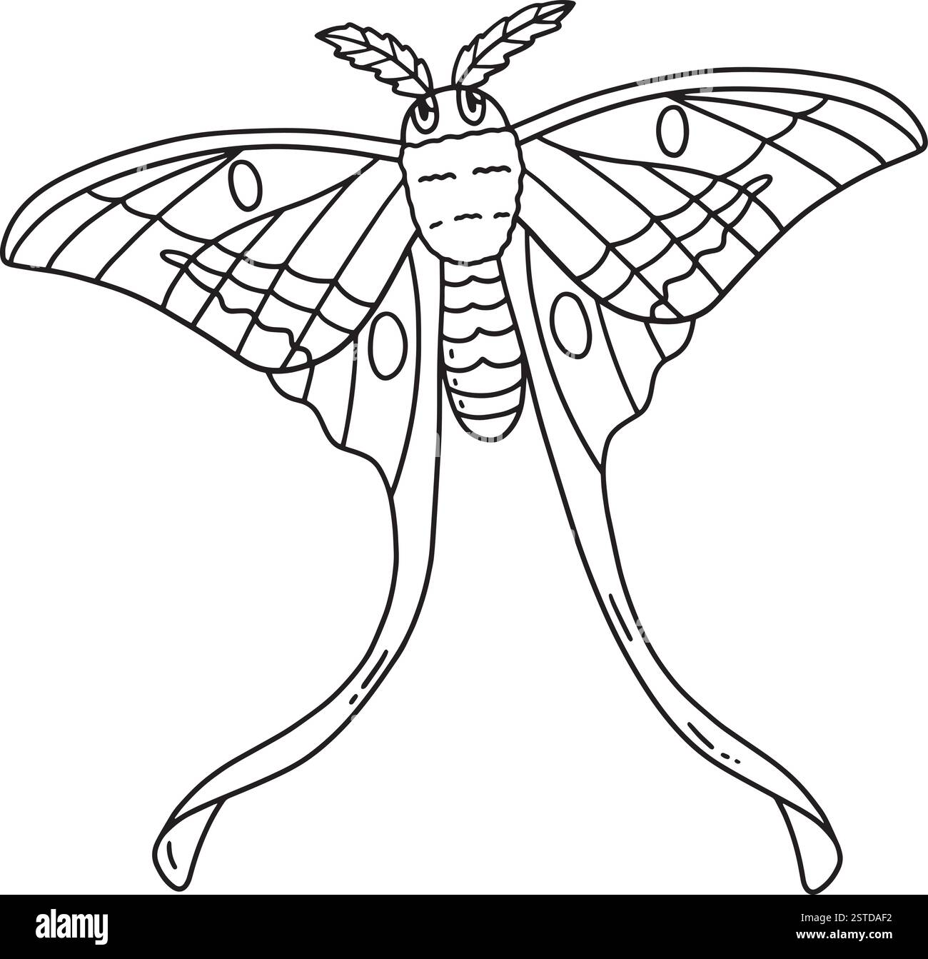 Insect Luna Moth Animal Isolated Coloring Page Stock Vector Image & Art ...