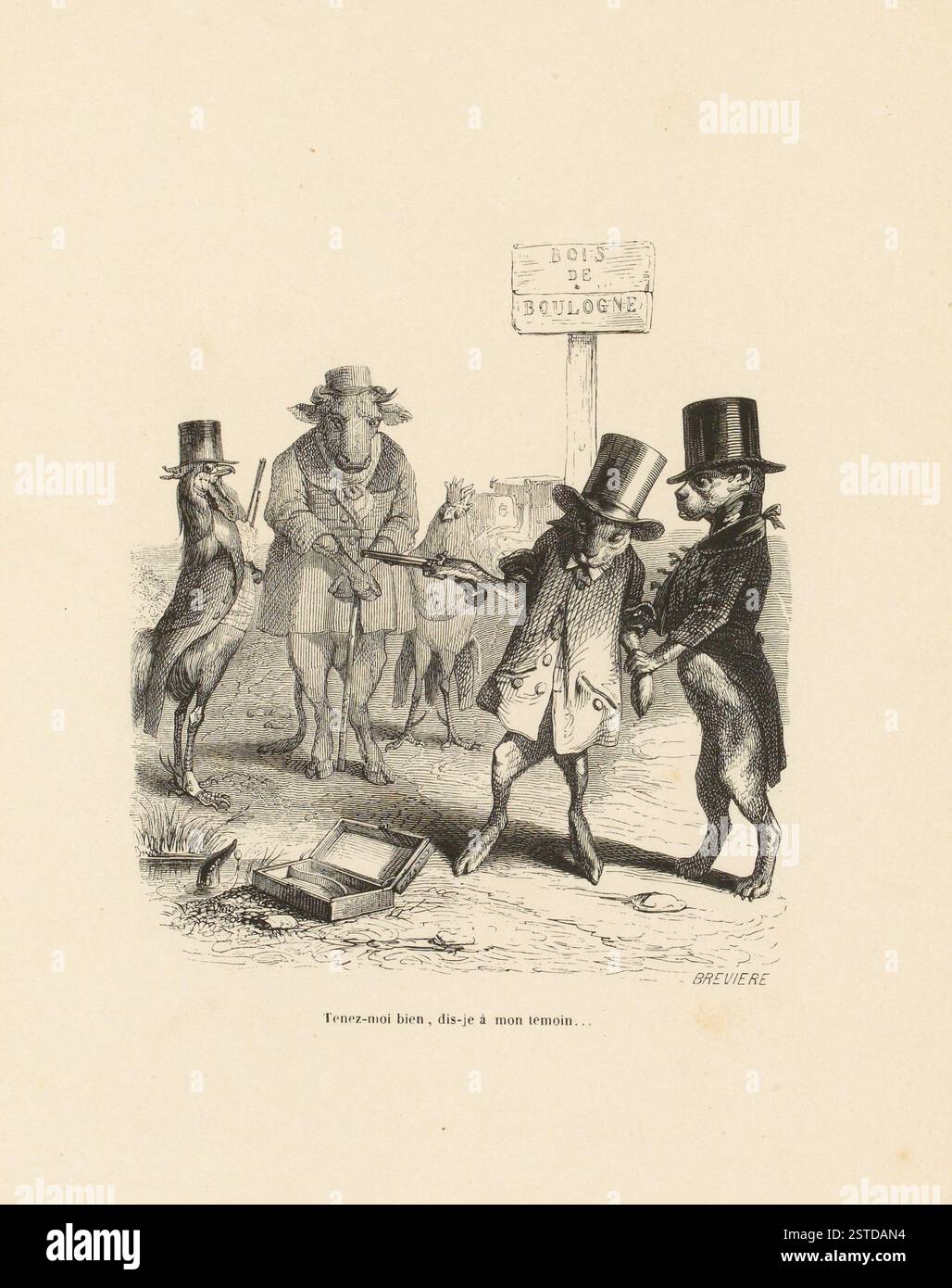 A caricature scene of a pistol duel between a rabbit and rooster, with ...