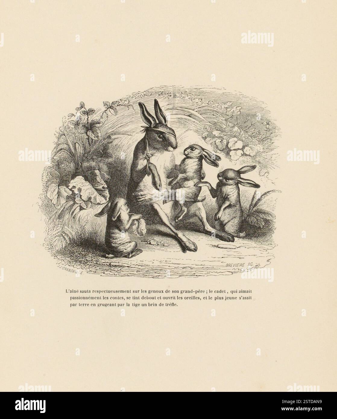 A caricature of a family of hares in a natural setting, with the ...