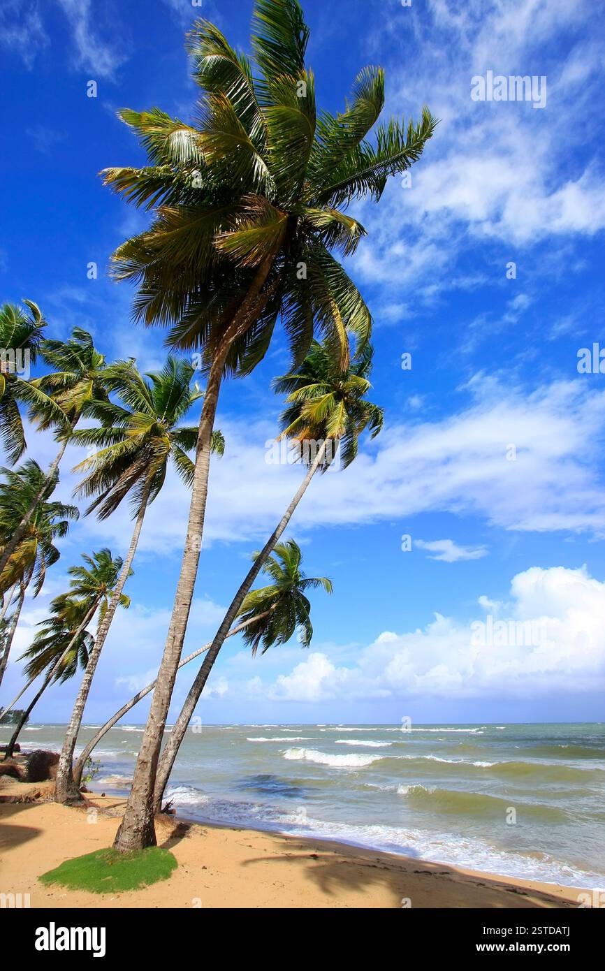 Bonita beach las terrenas hi-res stock photography and images - Alamy