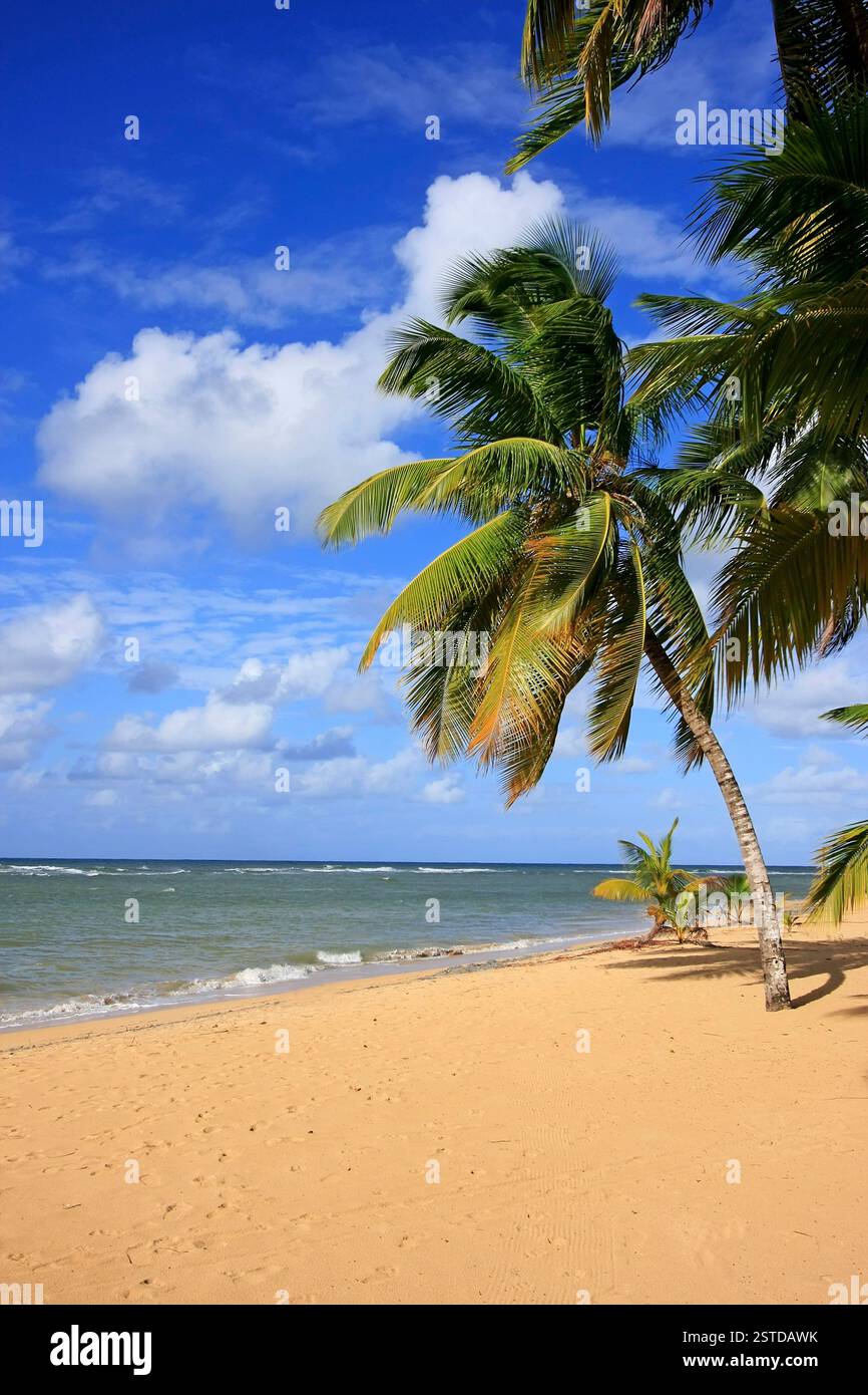 Bonita beach las terrenas hi-res stock photography and images - Alamy