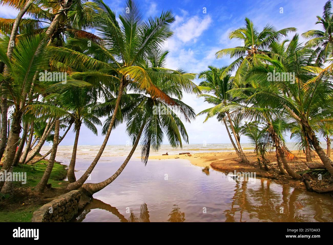 Freshwater river at las terrenas beach hi-res stock photography and ...