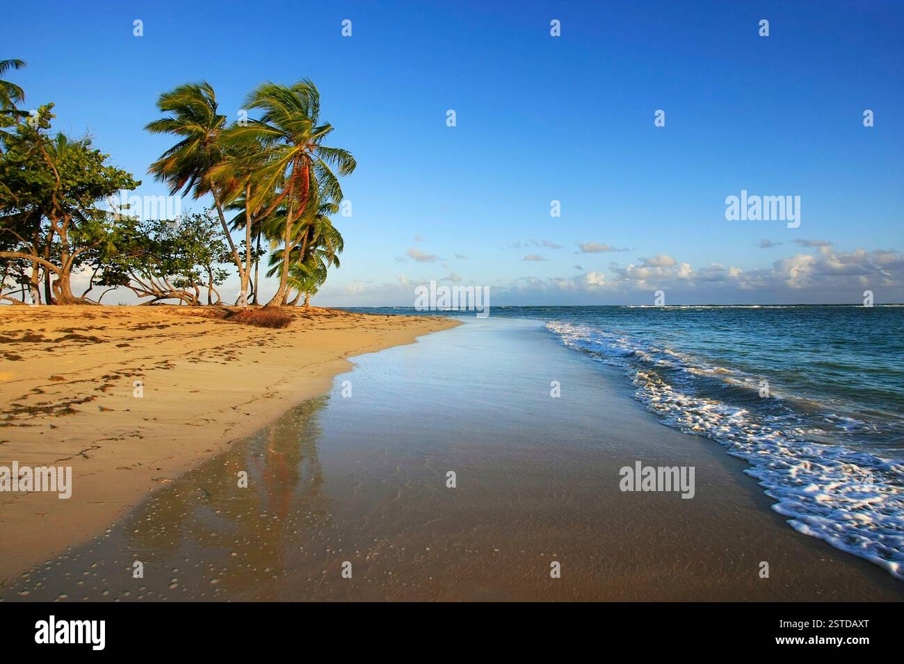 Las Terrenas beach, Samana peninsula Stock Photo - Alamy