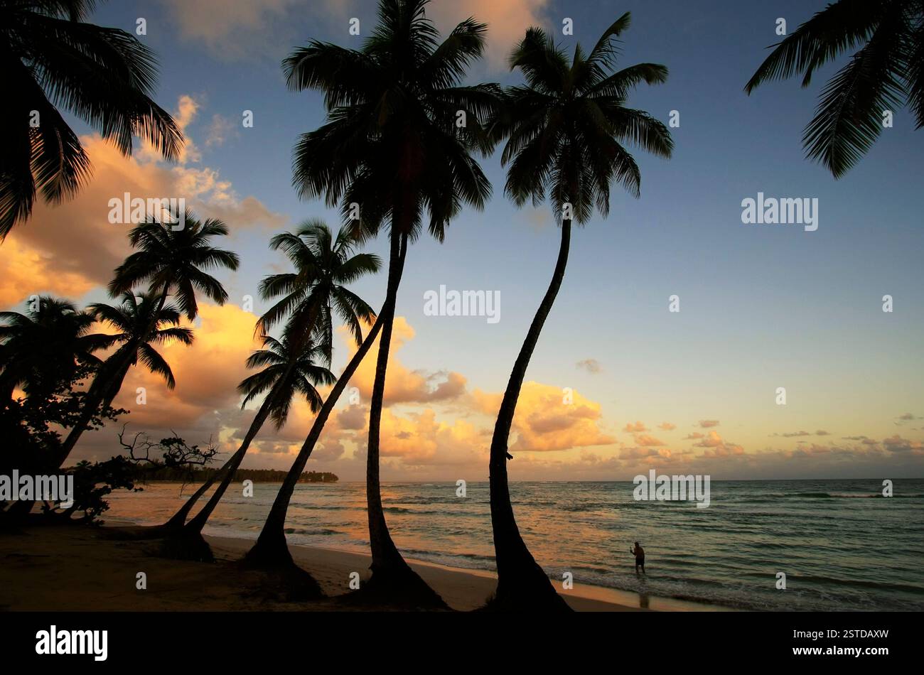 Las Terrenas beach at sunset, Samana peninsula Stock Photo - Alamy