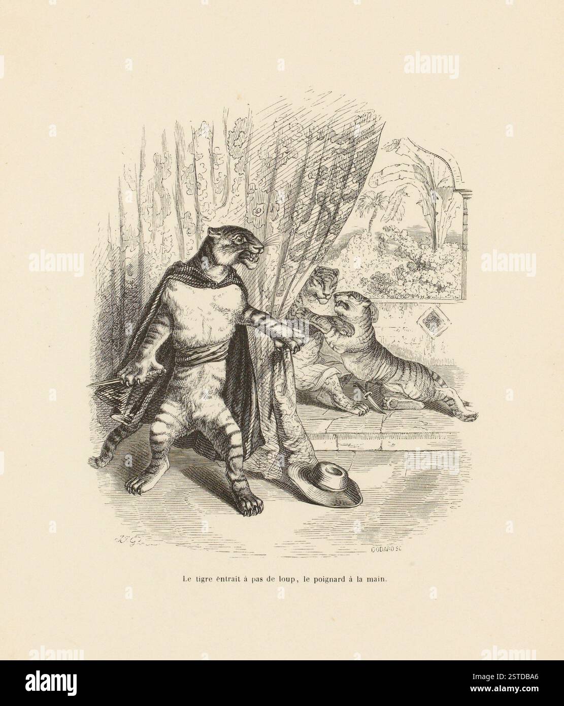 Dagger wielding animal hi-res stock photography and images - Alamy