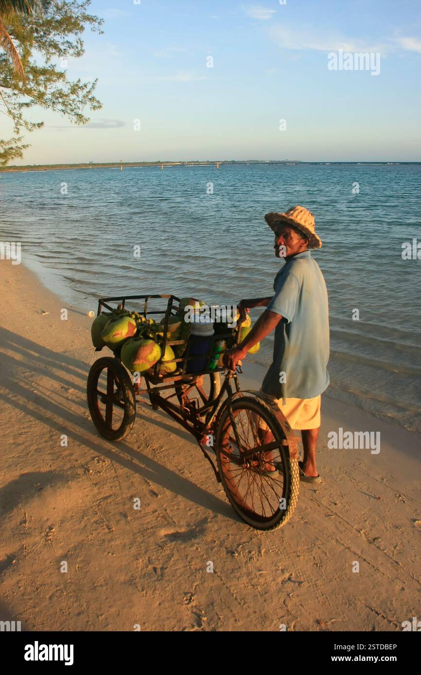 Street vendor selling coconuts hi-res stock photography and images - Alamy