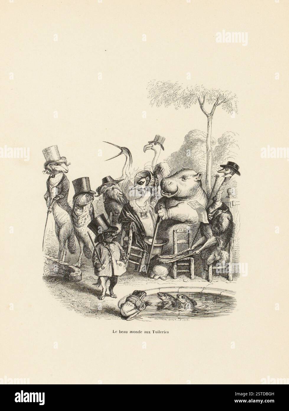 A caricature from the 'Scenes of the Privacy of Animals' series ...