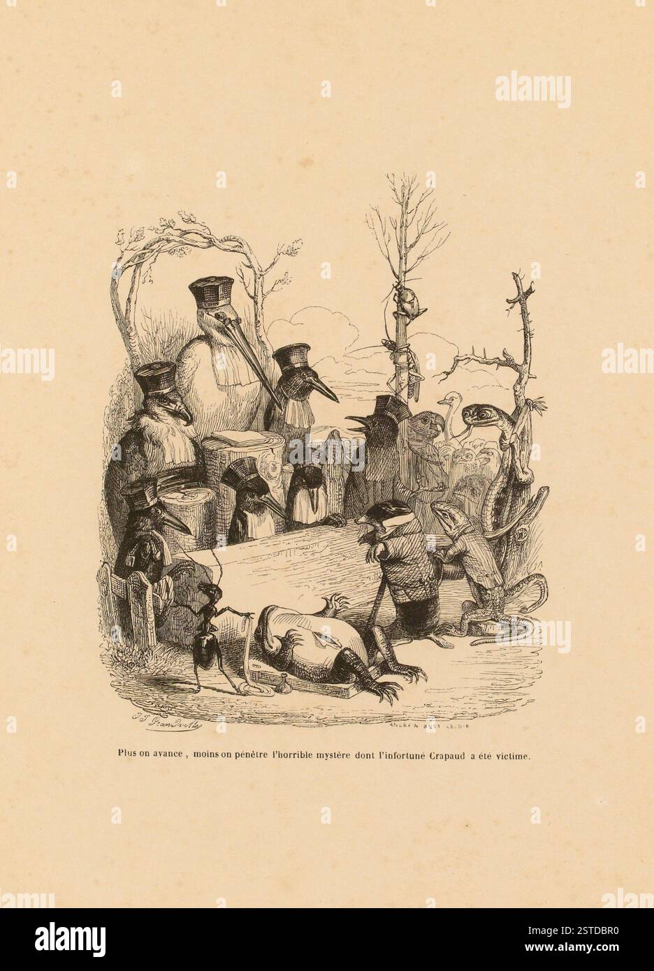 A caricature featuring a jury of bird magistrates in toques, listening ...