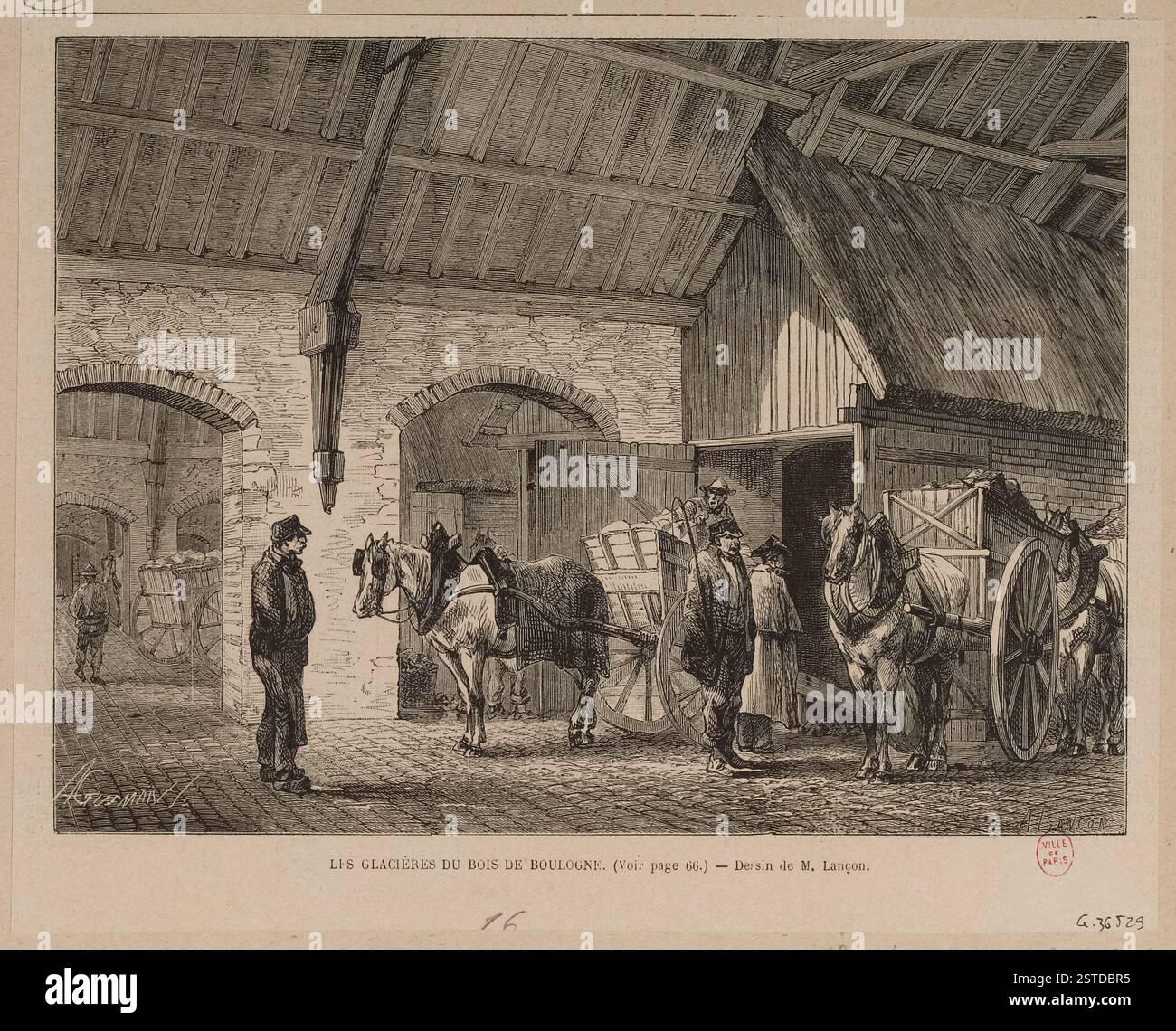 Using a whip hi-res stock photography and images - Alamy