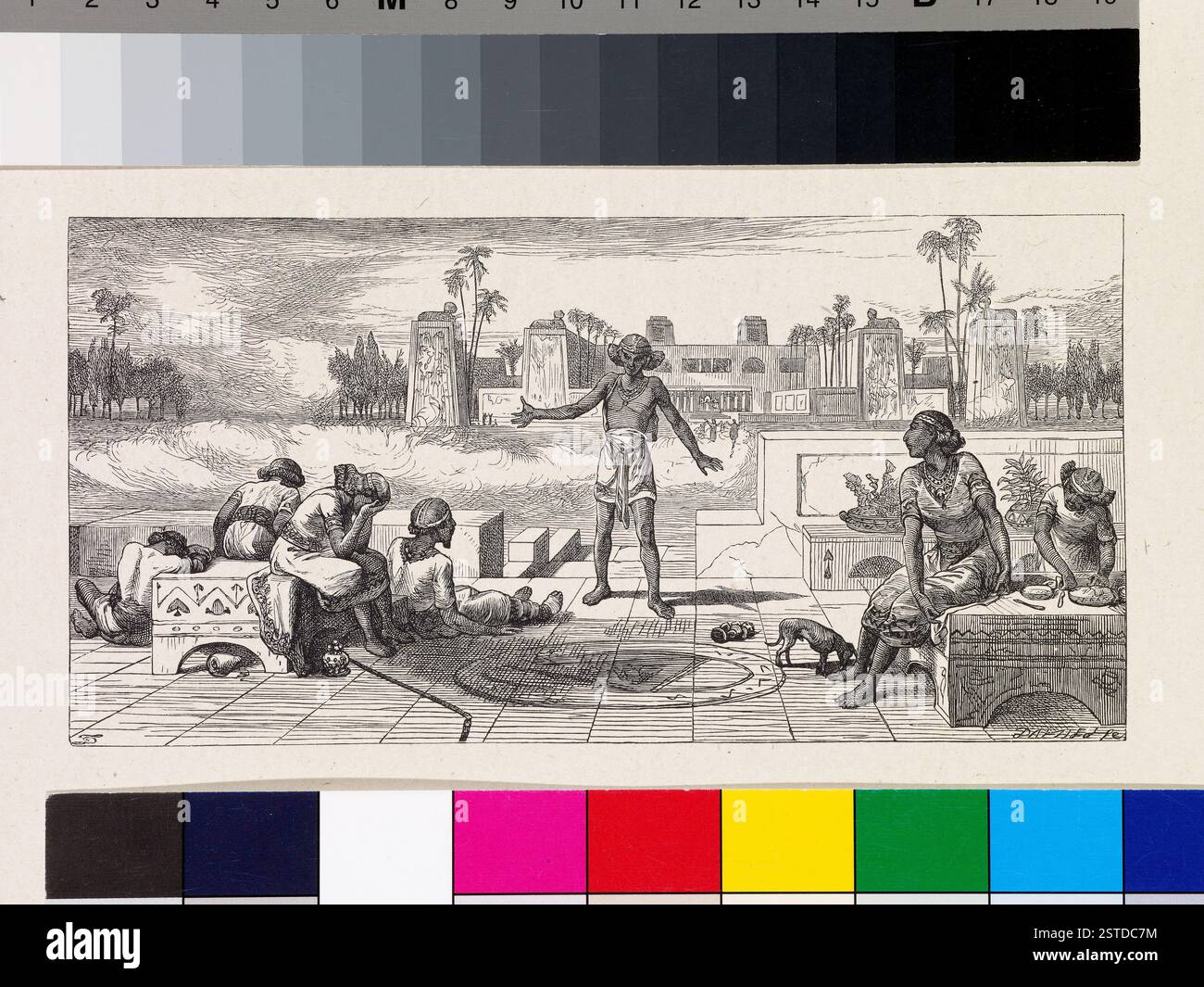 Wood engraving from 1881 illustrating 'The Boils and Blains' from ...