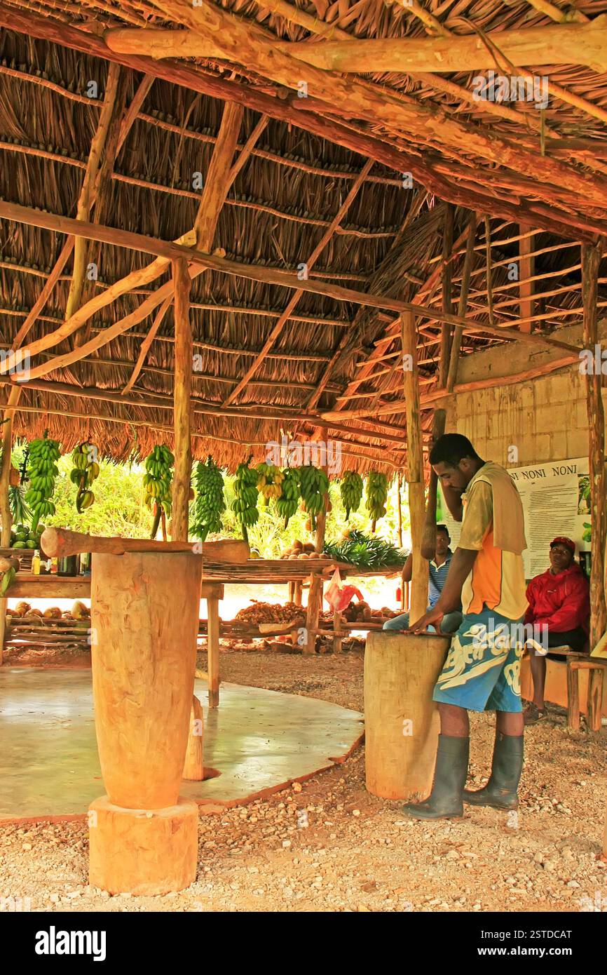 Cocoa bean processing hi-res stock photography and images - Alamy
