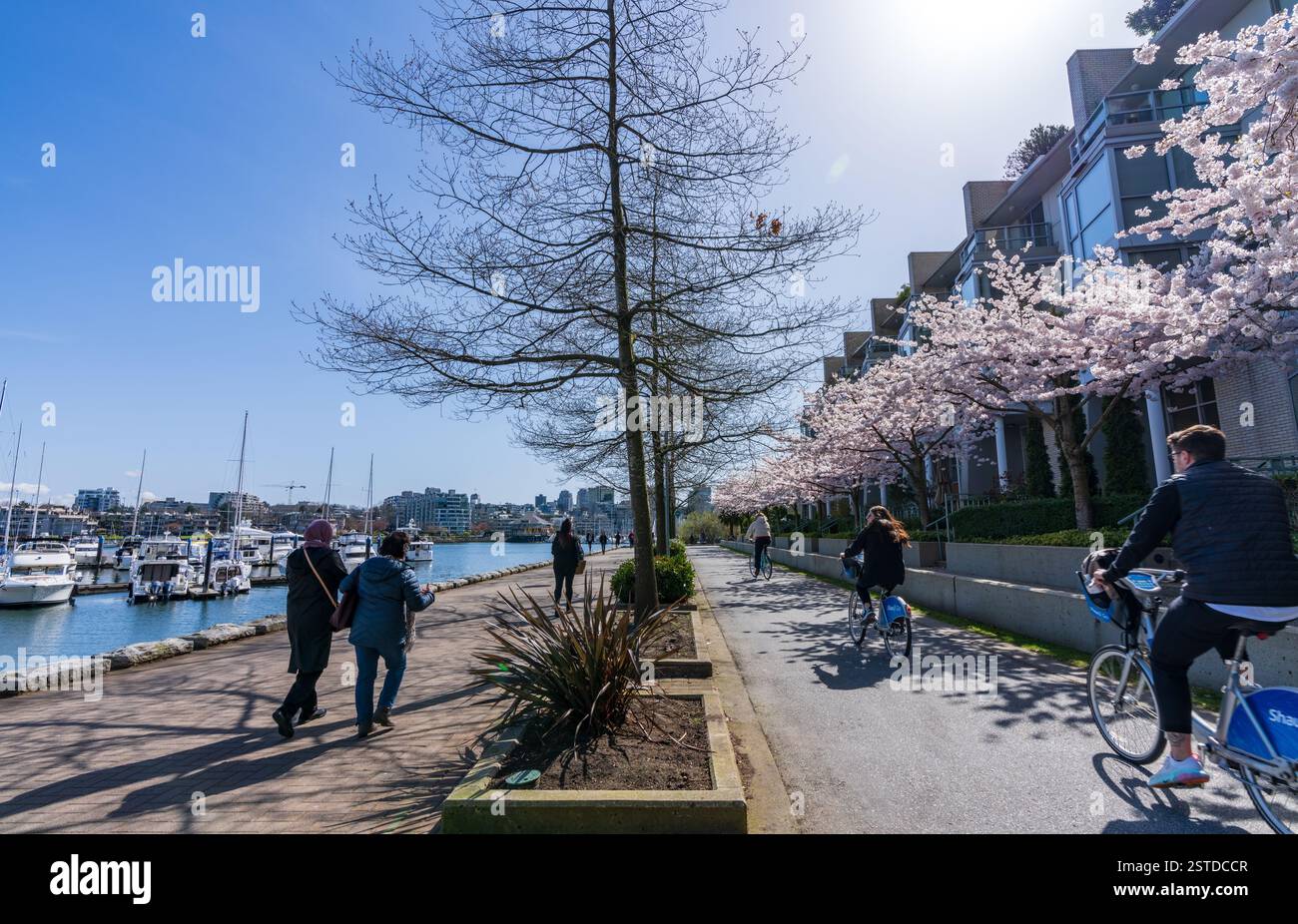 Vancouver city, BC, Canada - April 5 2021 : People walking and cycling ...
