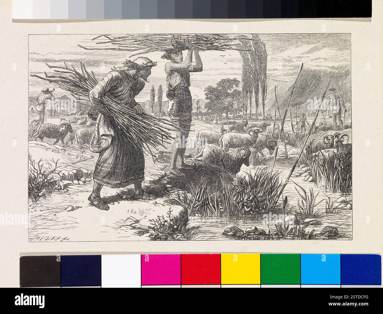 Wood engraving from 1881 illustrating 'Jacob and the Flocks of Laban ...