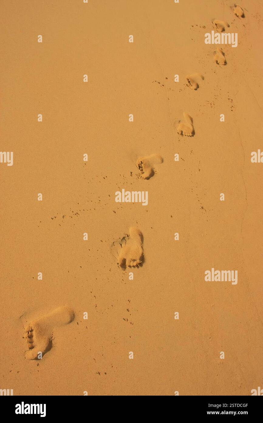 Footprints in sand playa hi-res stock photography and images - Alamy