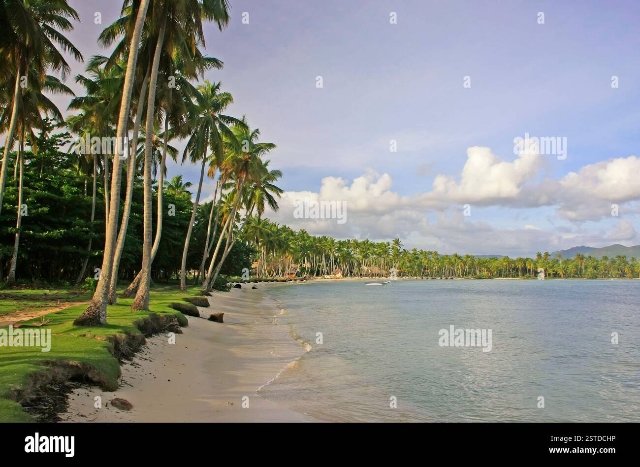 Las Galeras beach, Samana peninsula, Dominican Rep Stock Photo - Alamy