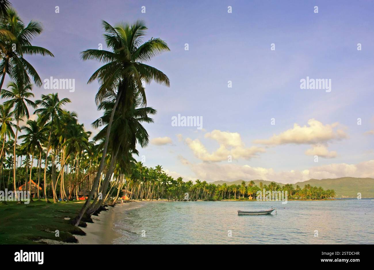 Las Galeras beach, Samana peninsula, Dominican Rep Stock Photo - Alamy