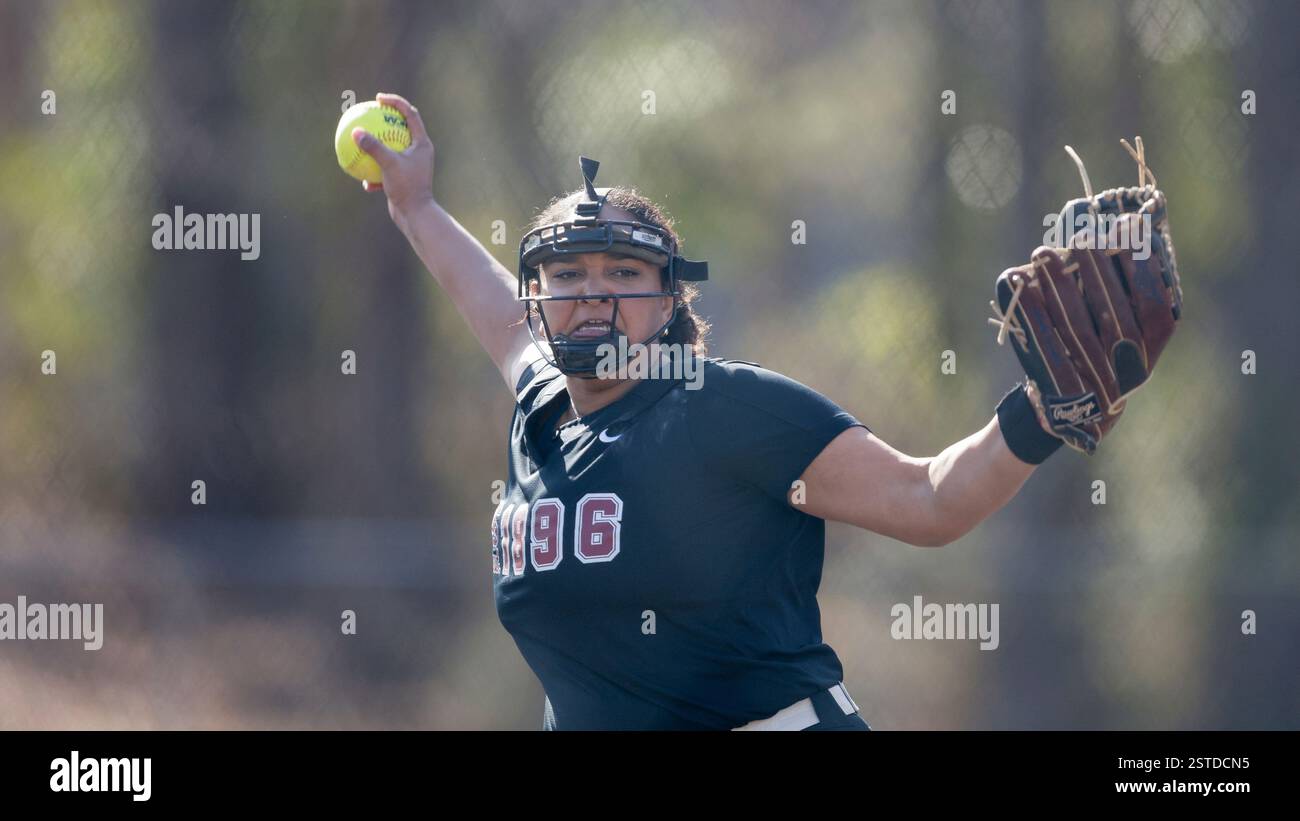 South Carolina State's Ciara Farrar (18) pitches during an NCAA ...
